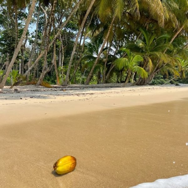 Gabon